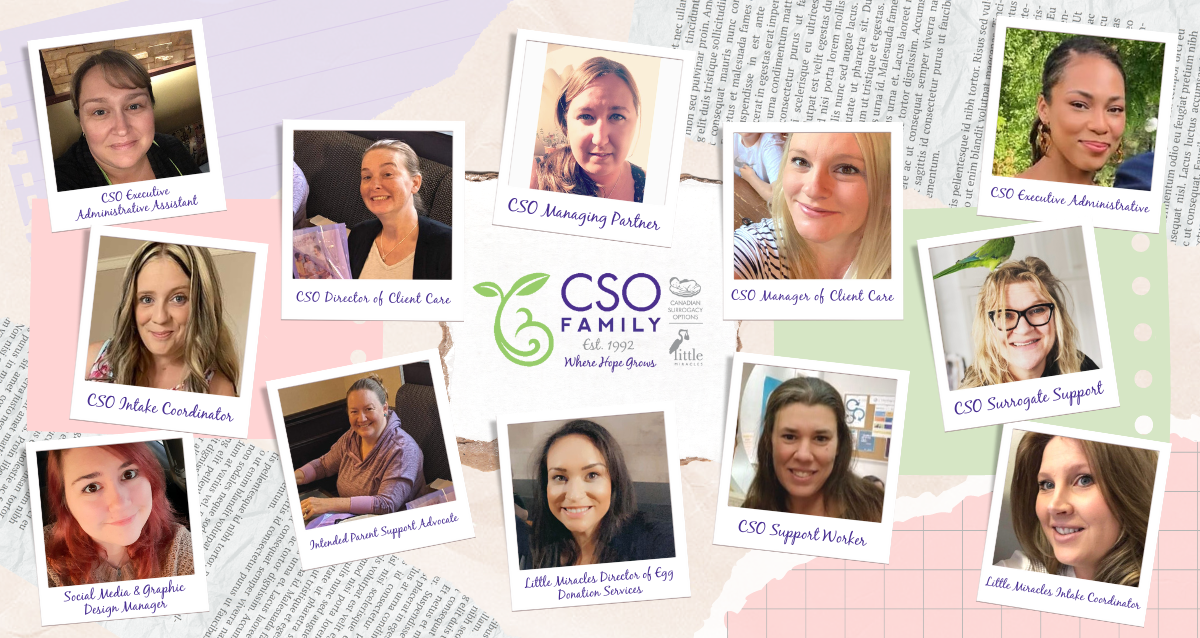 It's Been A Minute! - Canadian Surrogacy Options